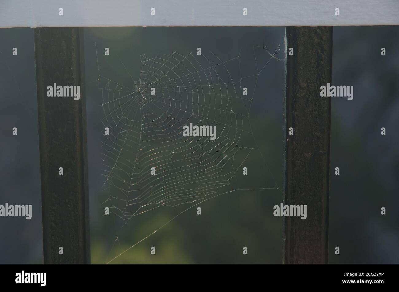 Spider web between two bars. Reservoir of Vadiello. Guatizalema river ...