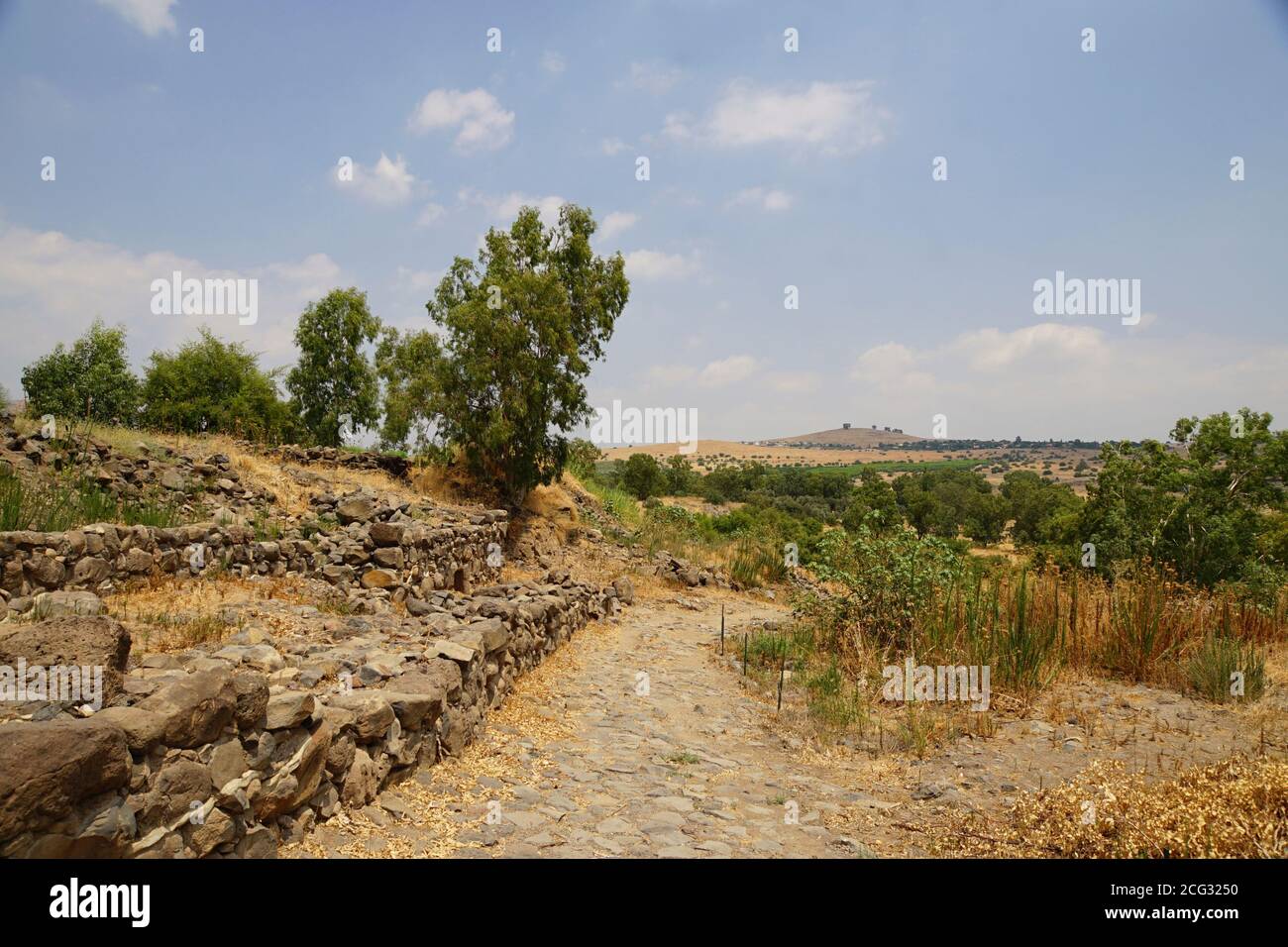 Archaeological site of the biblical city of Bethsaida, destroyed by the ...
