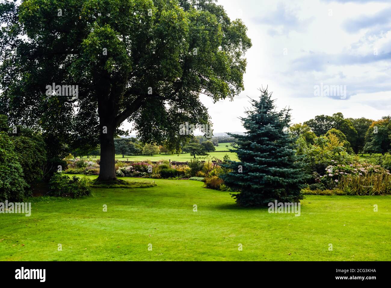 Killerton house estate hi-res stock photography and images - Alamy