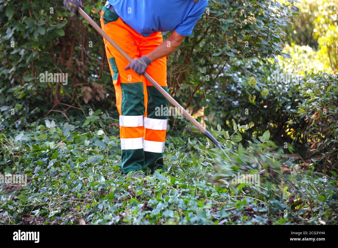 Outdoor maintenance, landscape maintenance Stock Photo - Alamy
