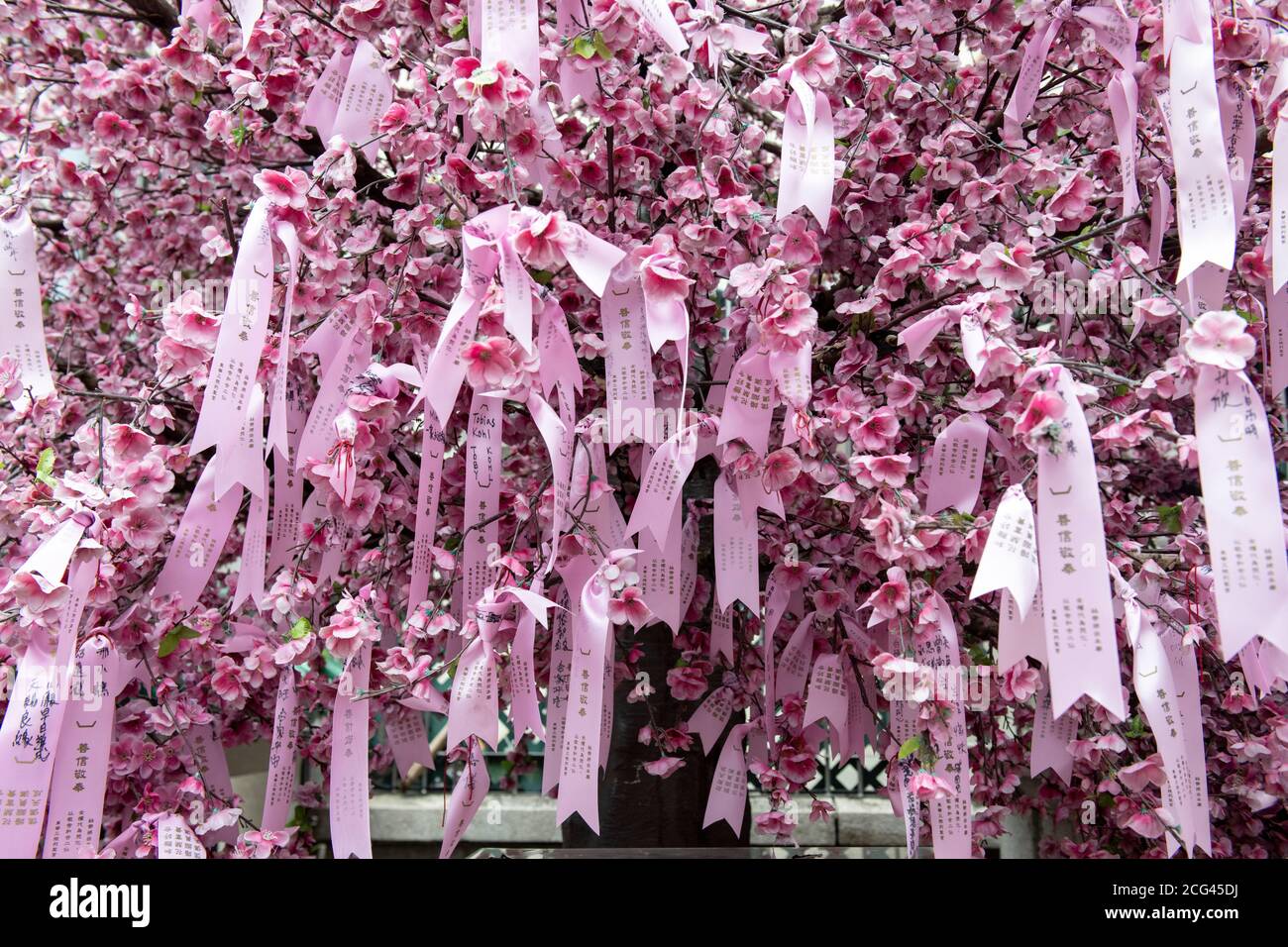 Wishing tree and china hi-res stock photography and images - Alamy