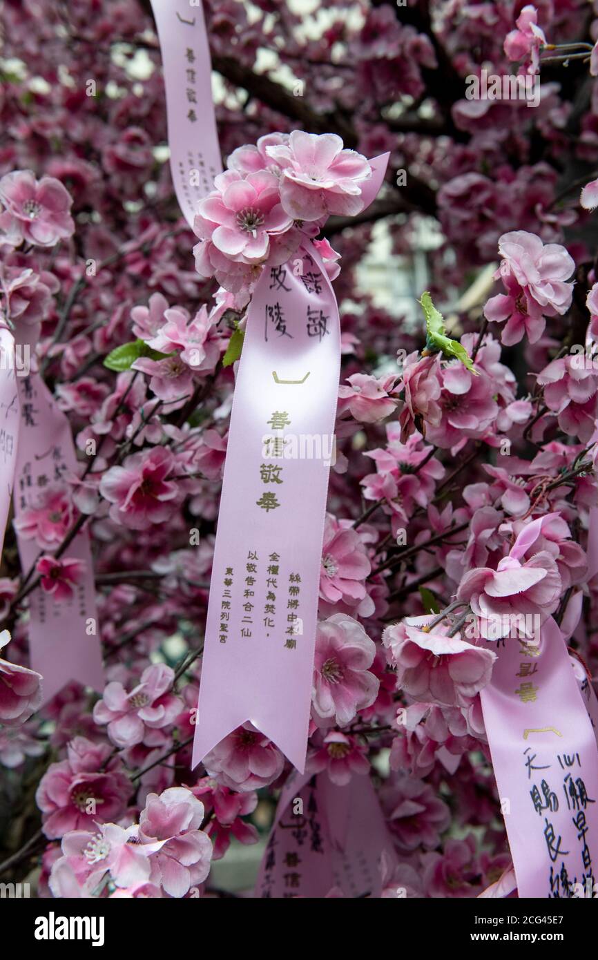 Hong Kong,China:17 Aug,2020. Close up of messages on the flowering ...