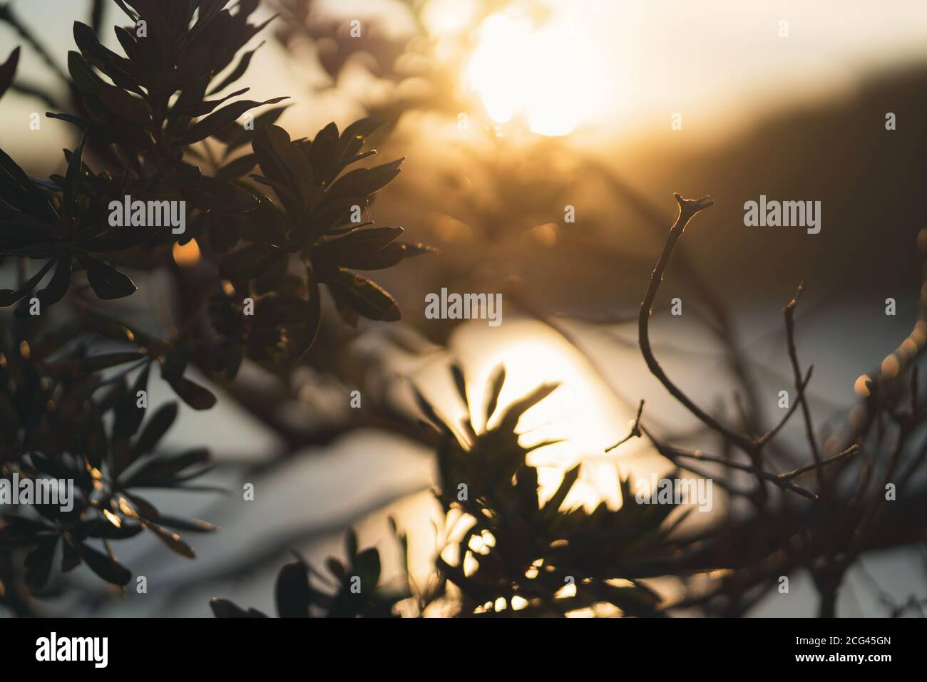 Abstract scenery hi-res stock photography and images - Alamy