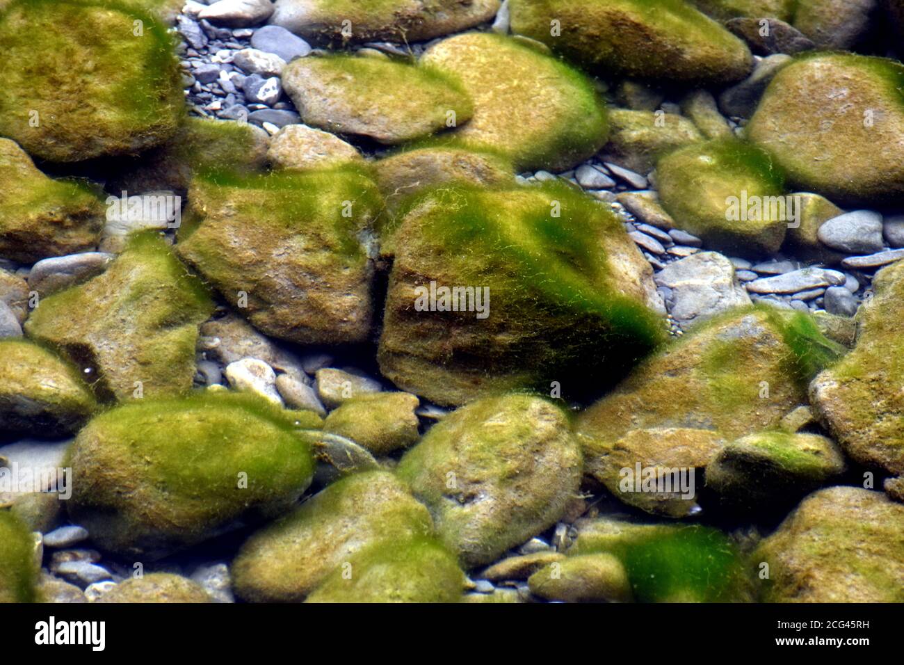 Underwater rocks water hi-res stock photography and images - Alamy