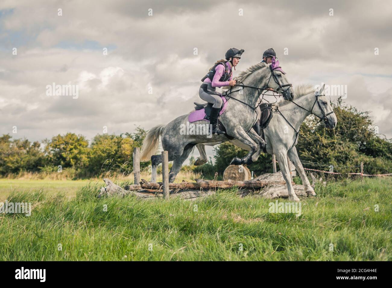 Pony ponies jump showjumping hi-res stock photography and images - Alamy