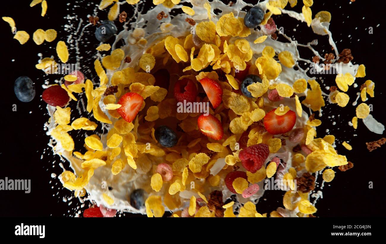 Freeze motion of rotating cereal pieces with milk splash, isolated on ...