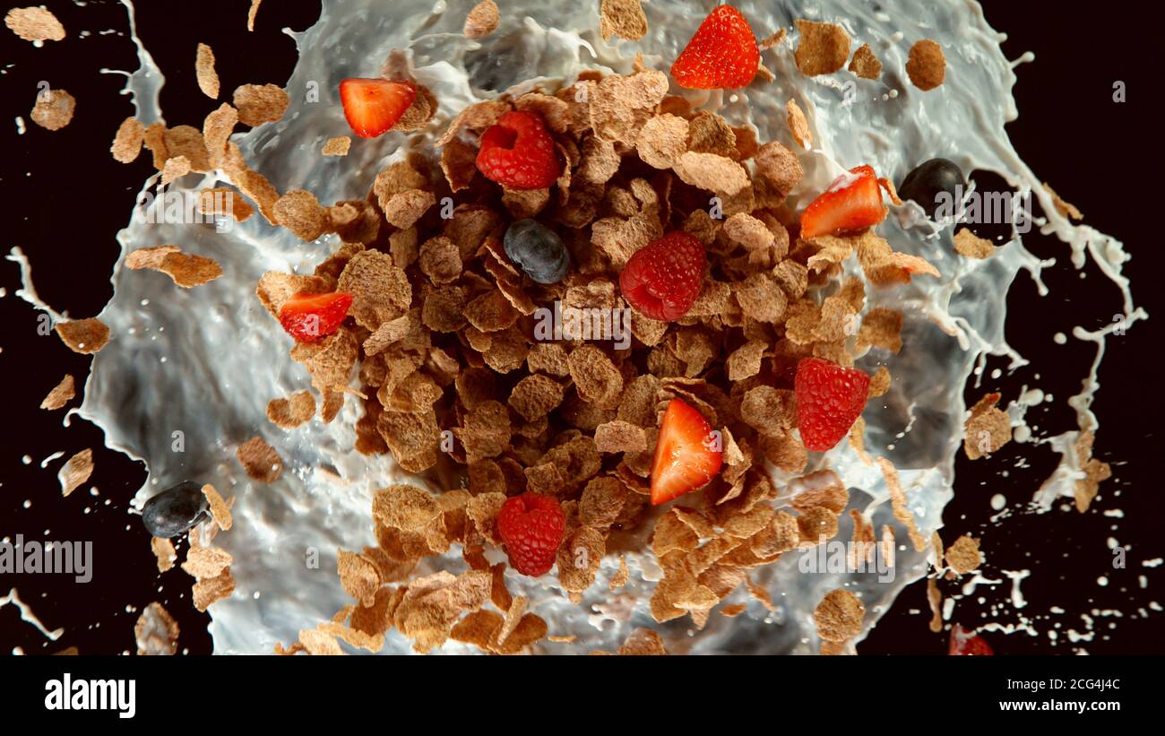 Freeze motion of rotating cereal pieces with milk splash, isolated on ...