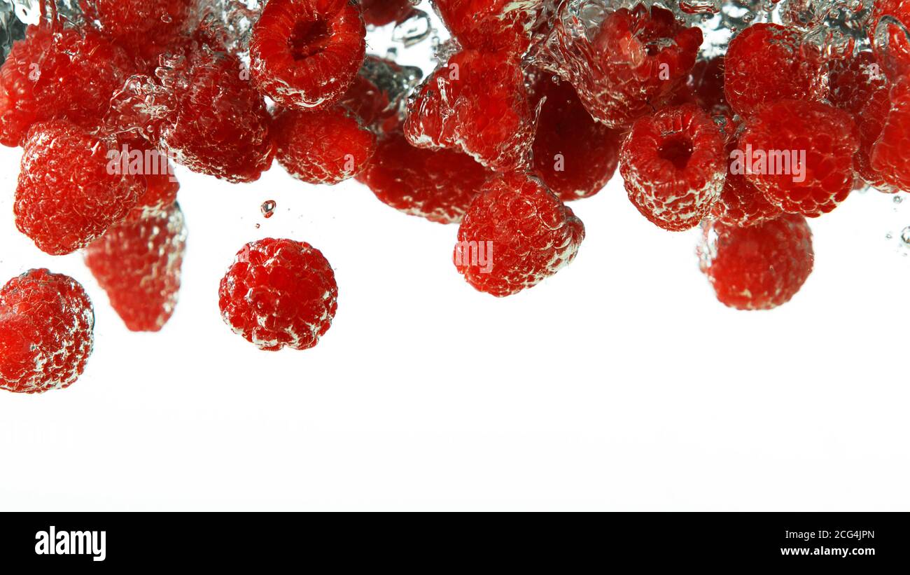 Raspberries falling into water isolated on white background Stock Photo ...