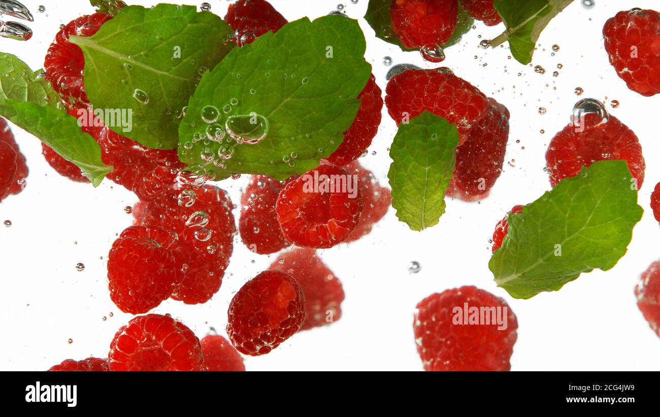 Raspberries falling into water isolated on white background Stock Photo ...