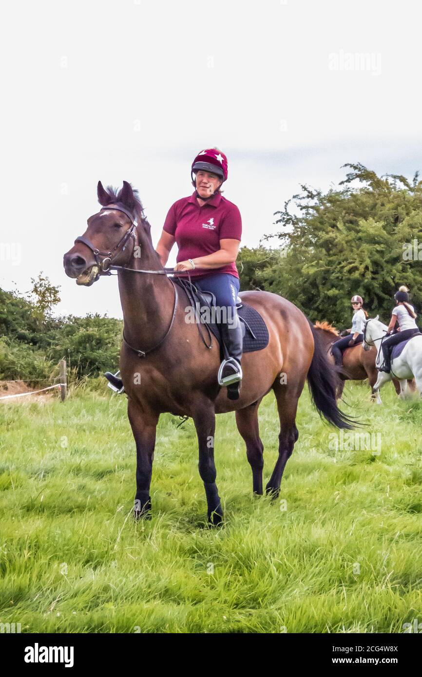 Pony ponies jump showjumping hi-res stock photography and images - Alamy
