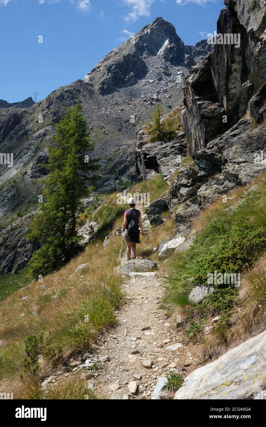 alone woman along forest path in mountain - girl hiking Stock Photo - Alamy