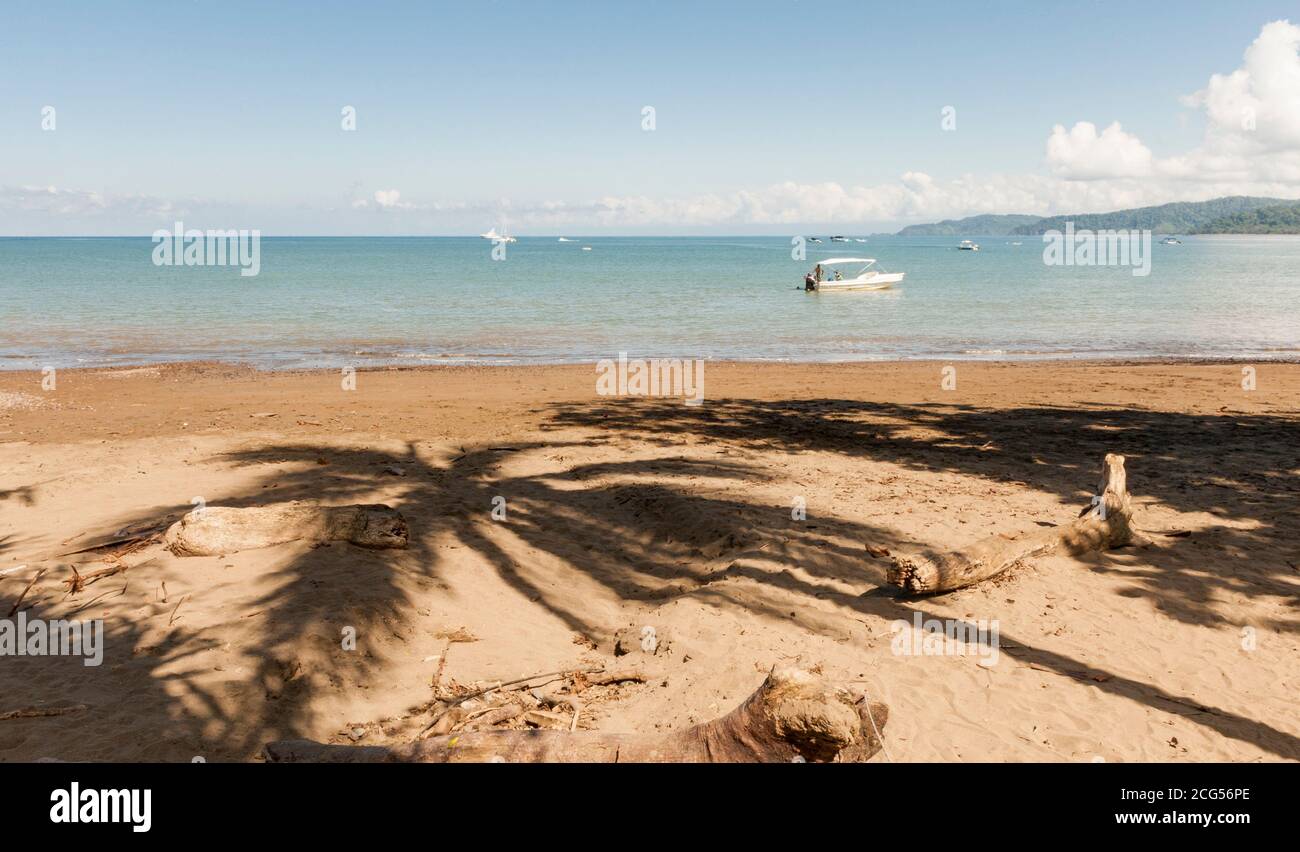 Palm tree shadow on tropical beach - Corcovado National Park - Costa ...