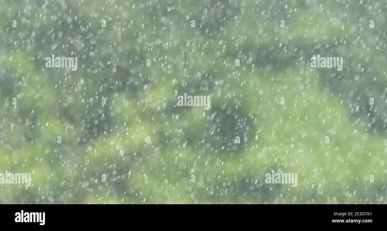Tropical rainstorm - Costa Rica Stock Photo - Alamy