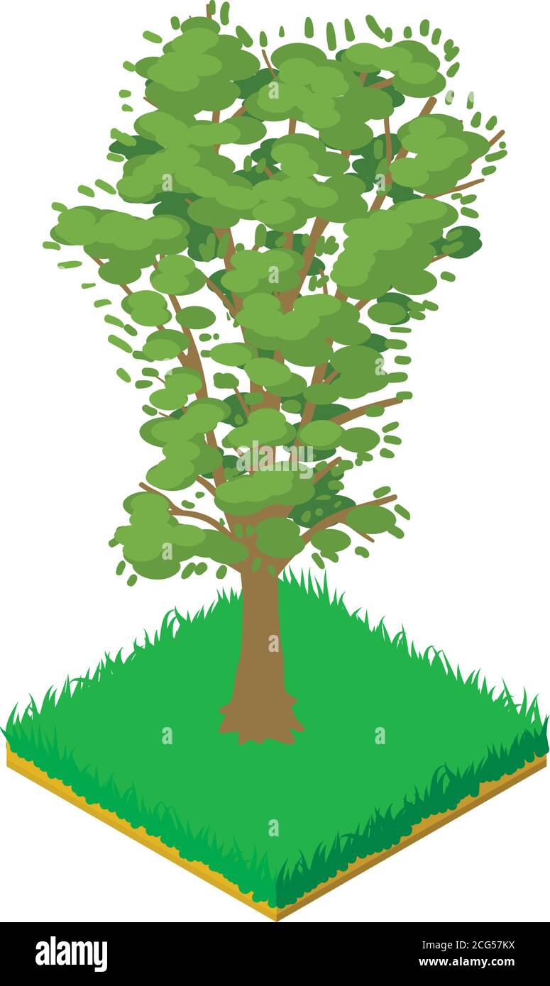 Hickory tree Stock Vector Images - Alamy