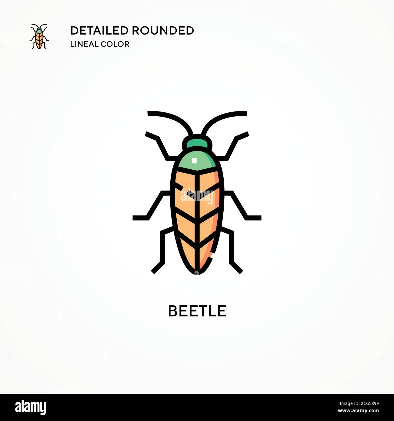 Beetle vector icon. Modern vector illustration concepts. Easy to edit ...