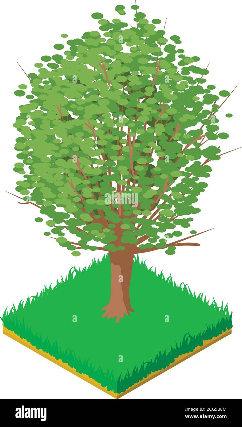 Elmtree Stock Vector Images - Alamy