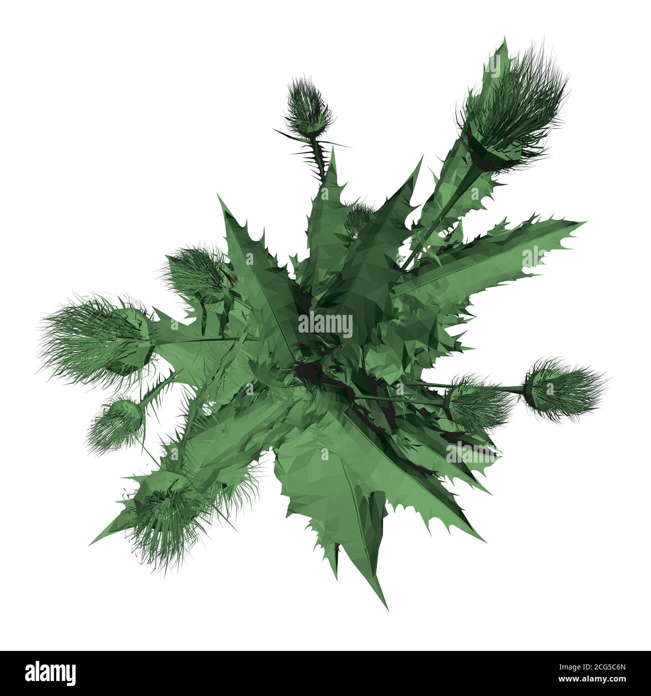 Detailed green plant. View from above. 3D. Vector illustration Stock ...