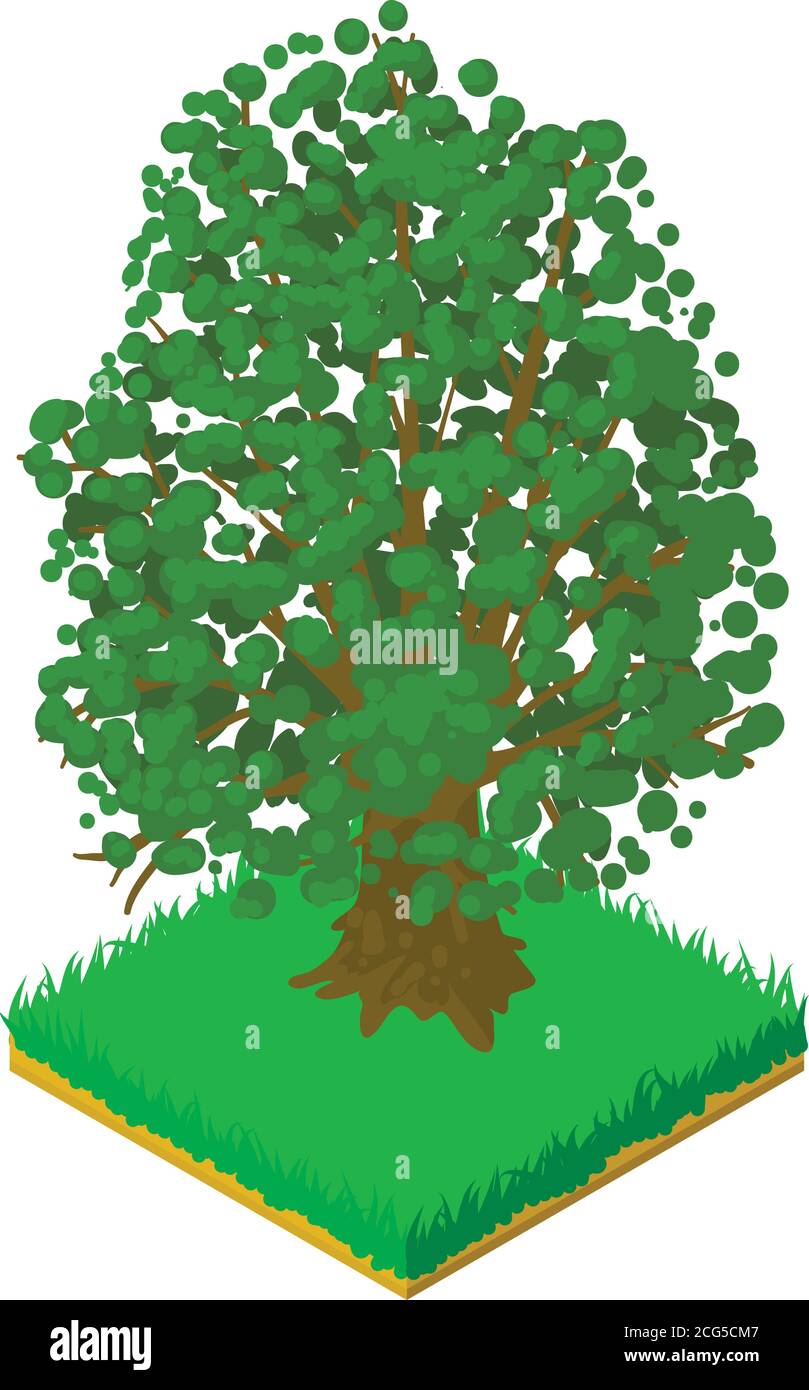 Tall maple tree Stock Vector Images - Alamy