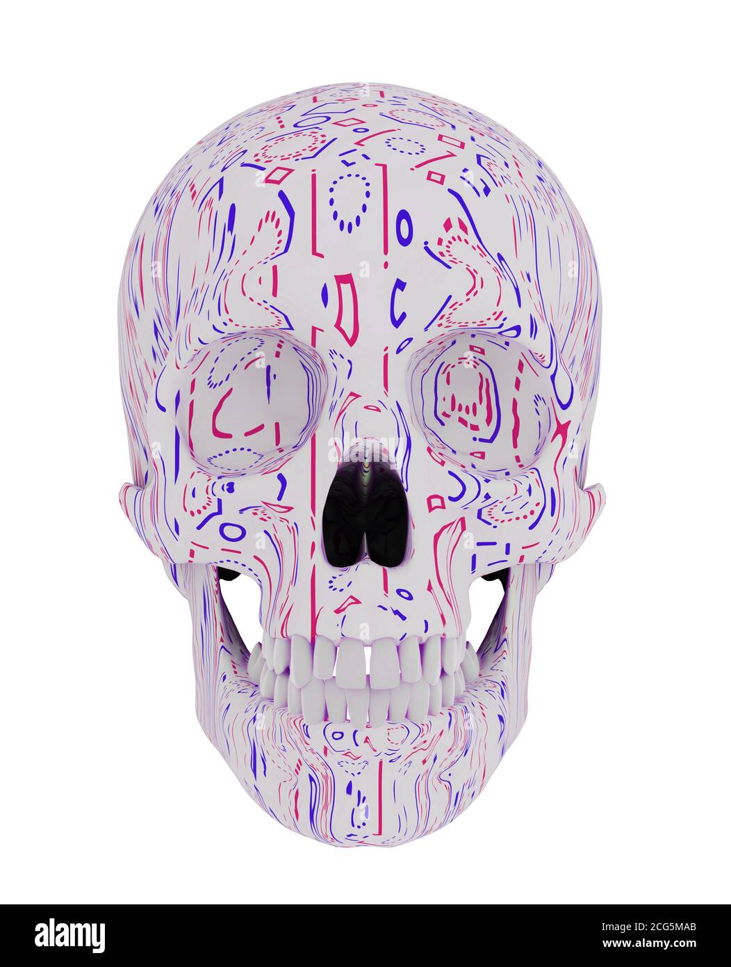 Human skull isolated on white hi-res stock photography and images - Alamy