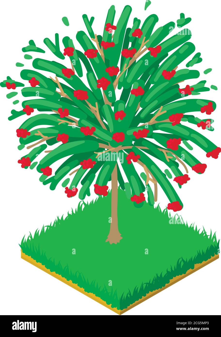 Hawthorn crataegus oxyacantha Stock Vector Images - Alamy