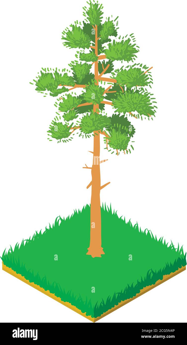 Pinus sylvestris isolated Stock Vector Images - Alamy