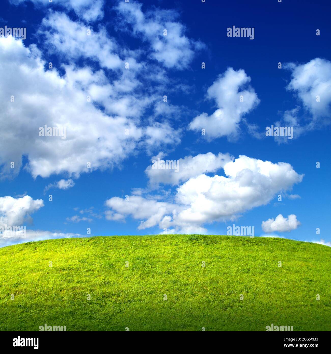Field green grass perfect sky hi-res stock photography and images - Alamy