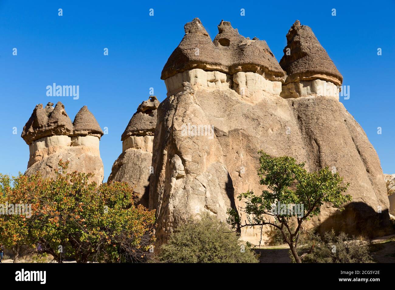 Cappadocia Turkey, volcanic rock landscape in Zelve Valley Stock Photo ...