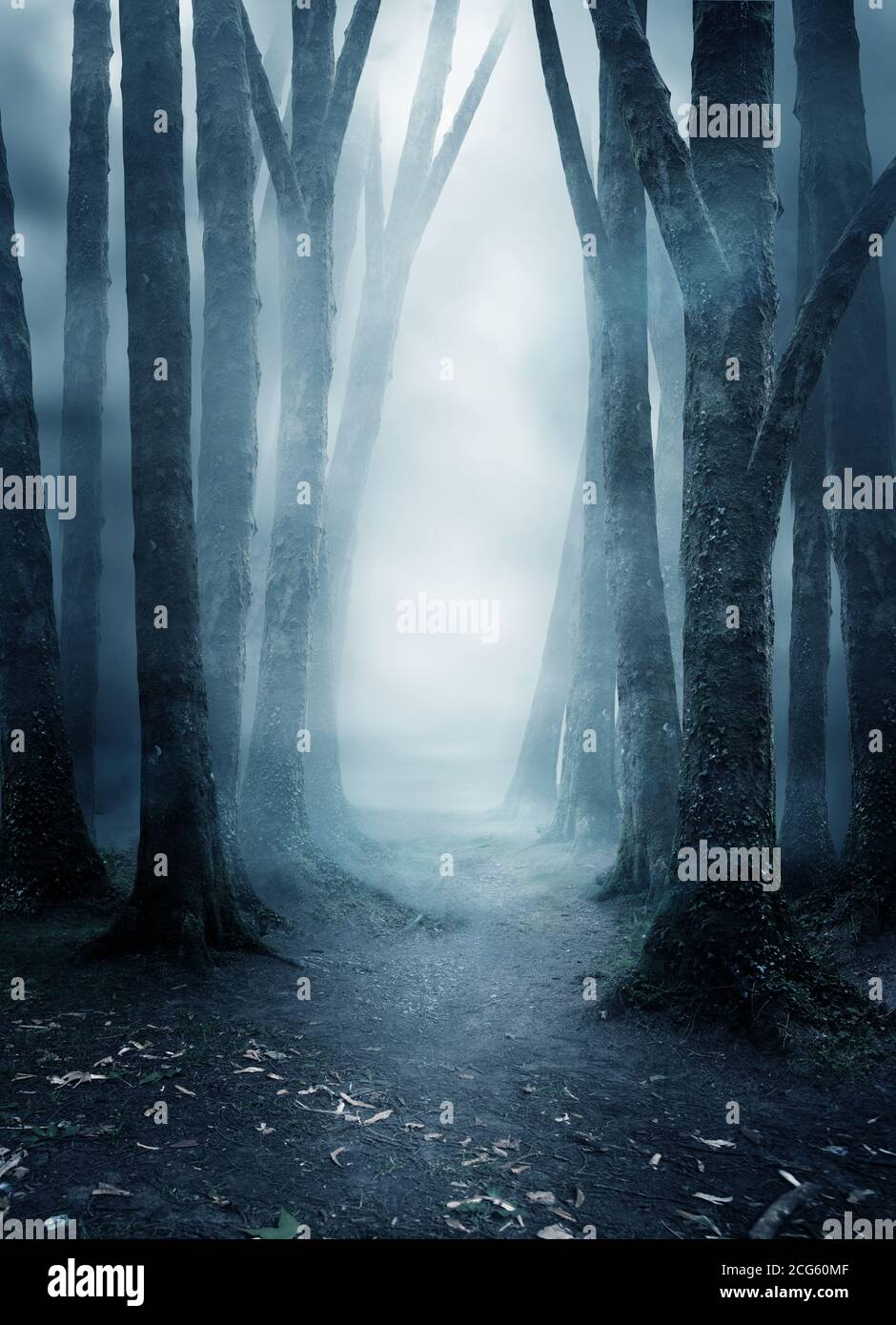 Dark mysterious pathway hi-res stock photography and images - Alamy