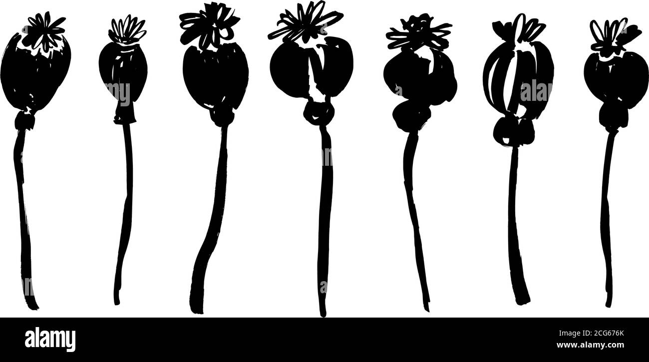 Poppy seed Black and White Stock Photos & Images - Alamy