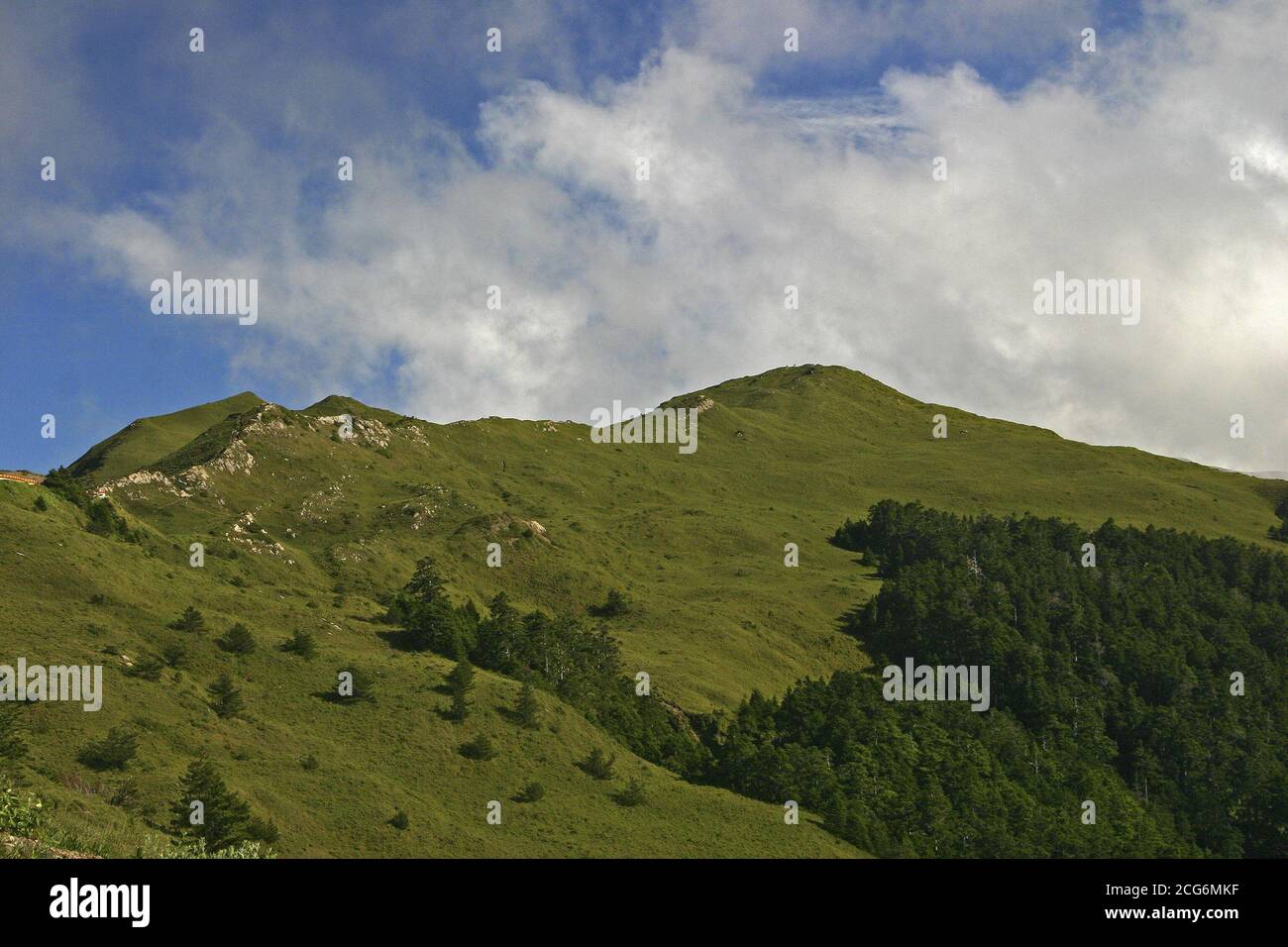 Shimen forest hi-res stock photography and images - Alamy