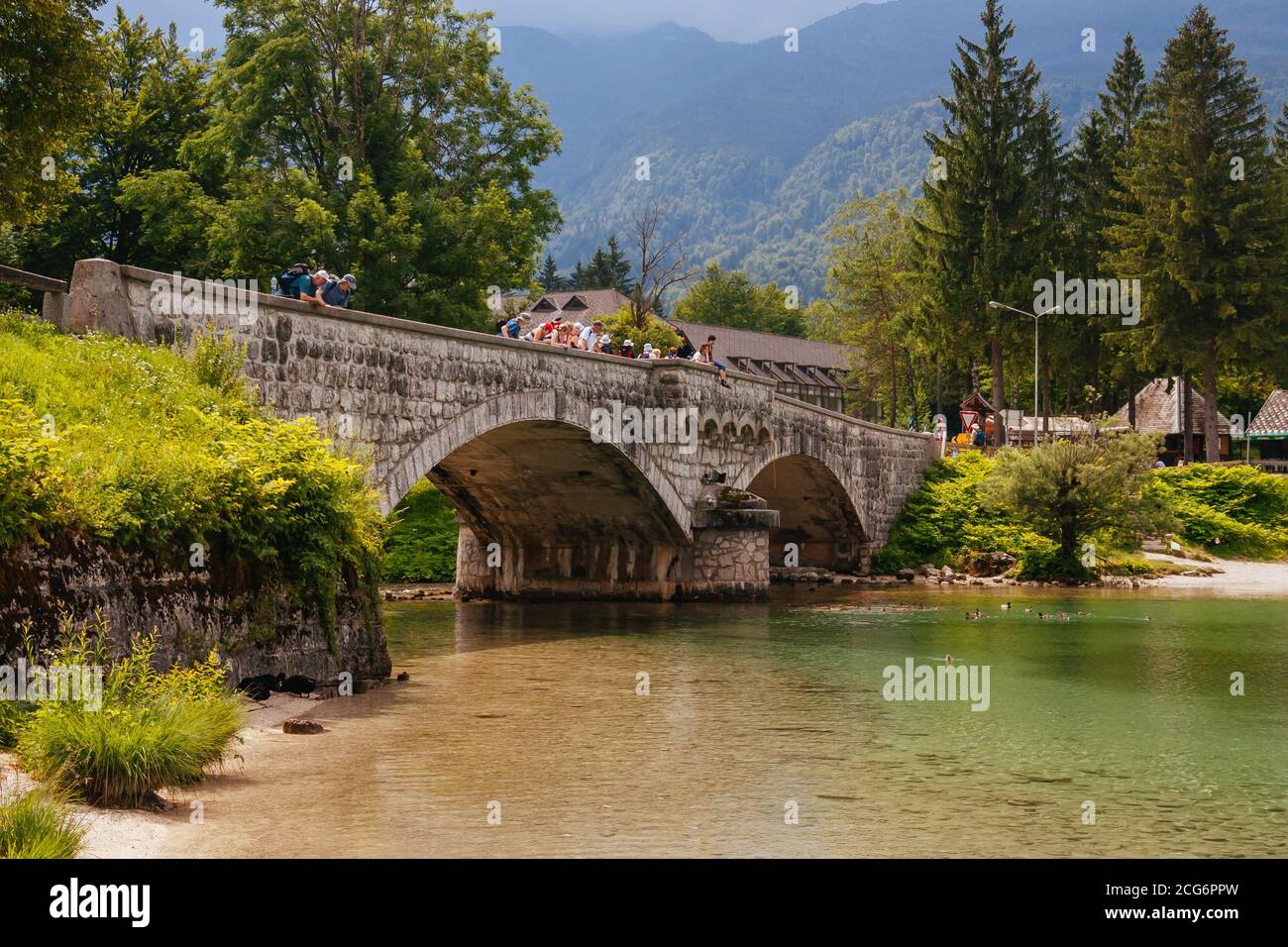 Scenic Landscape around Lake Bohinj n Slovenia Stock Photo - Alamy
