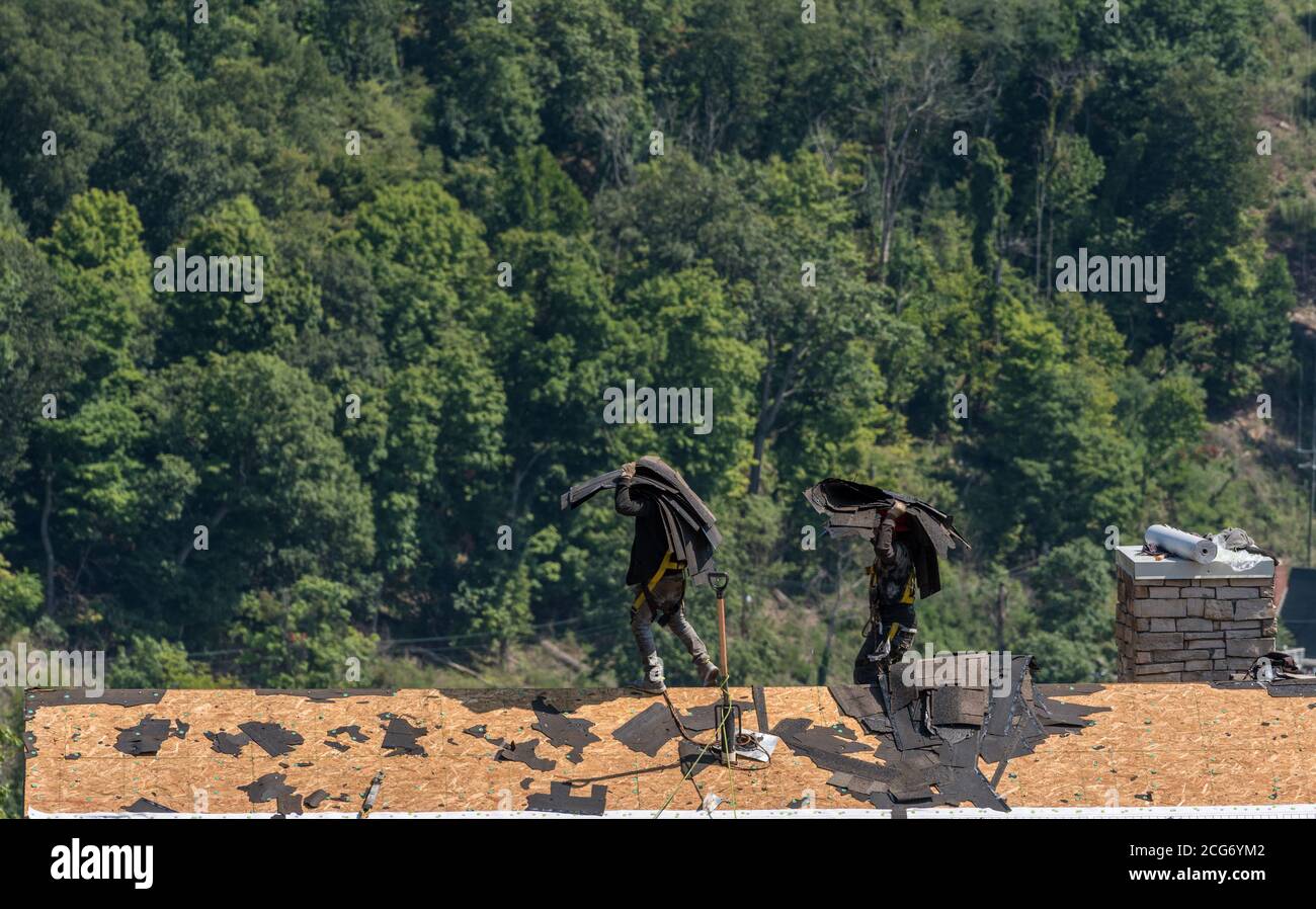 Roofing contractor removing the old tiles from townhouse roof by ...