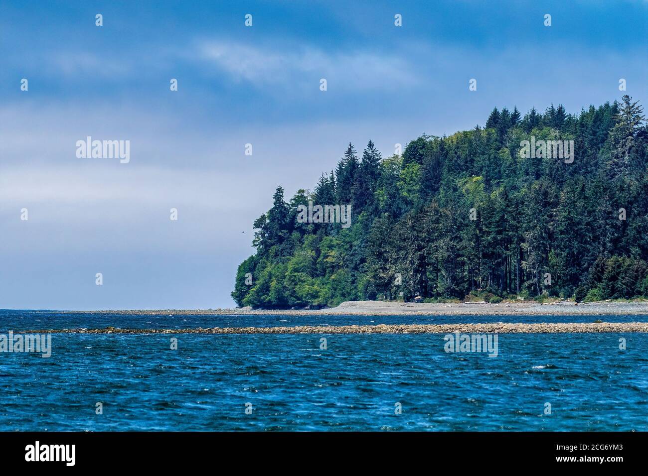 Coastal forest, Vancouver Island, Canada Stock Photo - Alamy