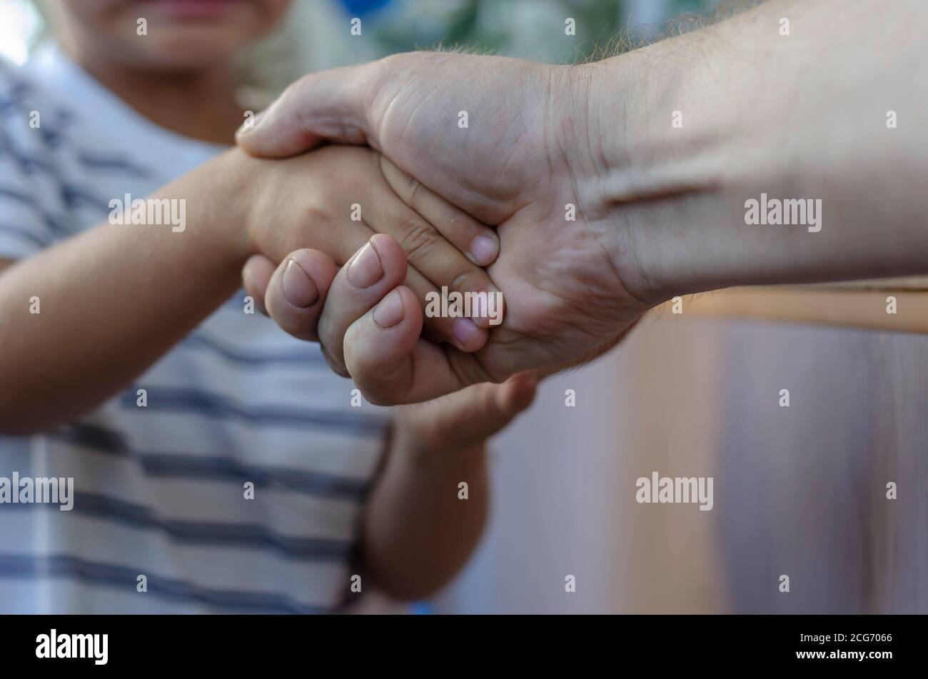 A child and an adult shake hands indoors. Friendship, happy time ...