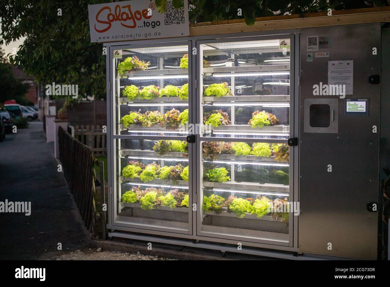 08 September 2020, Bavaria, Nuremberg: A salad machine with fresh ...