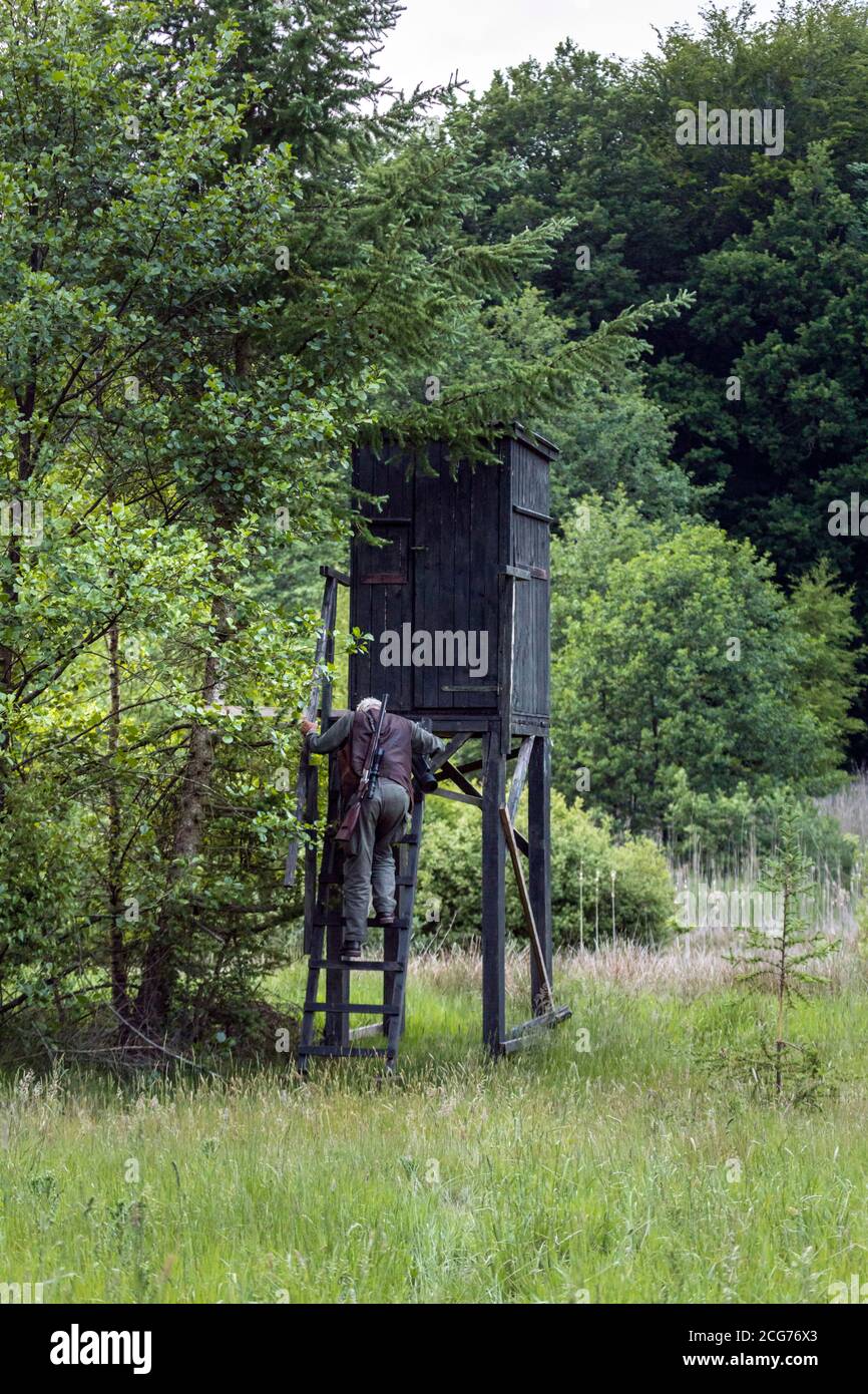 Hunter at the high seat Stock Photo - Alamy