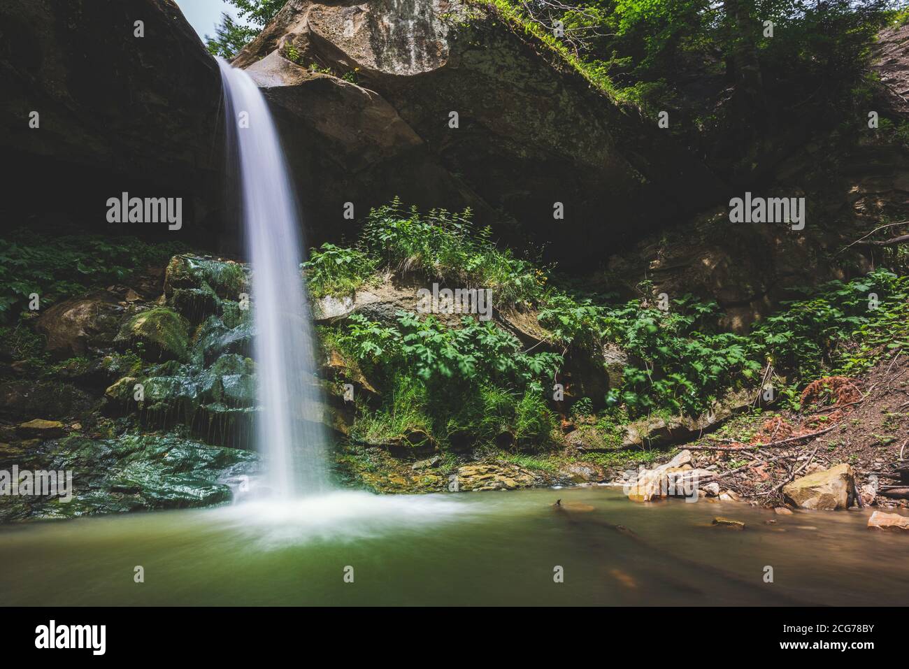 Deep forest river hi-res stock photography and images - Alamy