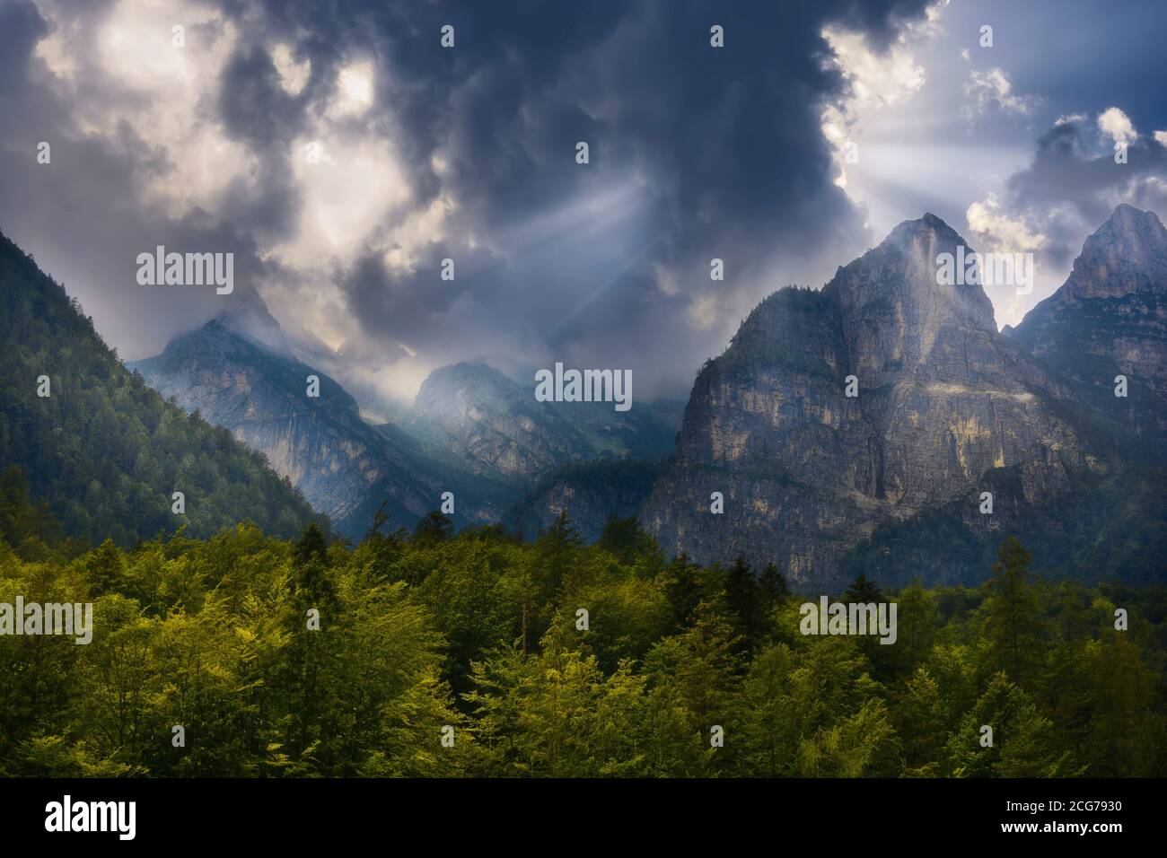 Parco naturale delle prealpi carniche hi-res stock photography and ...
