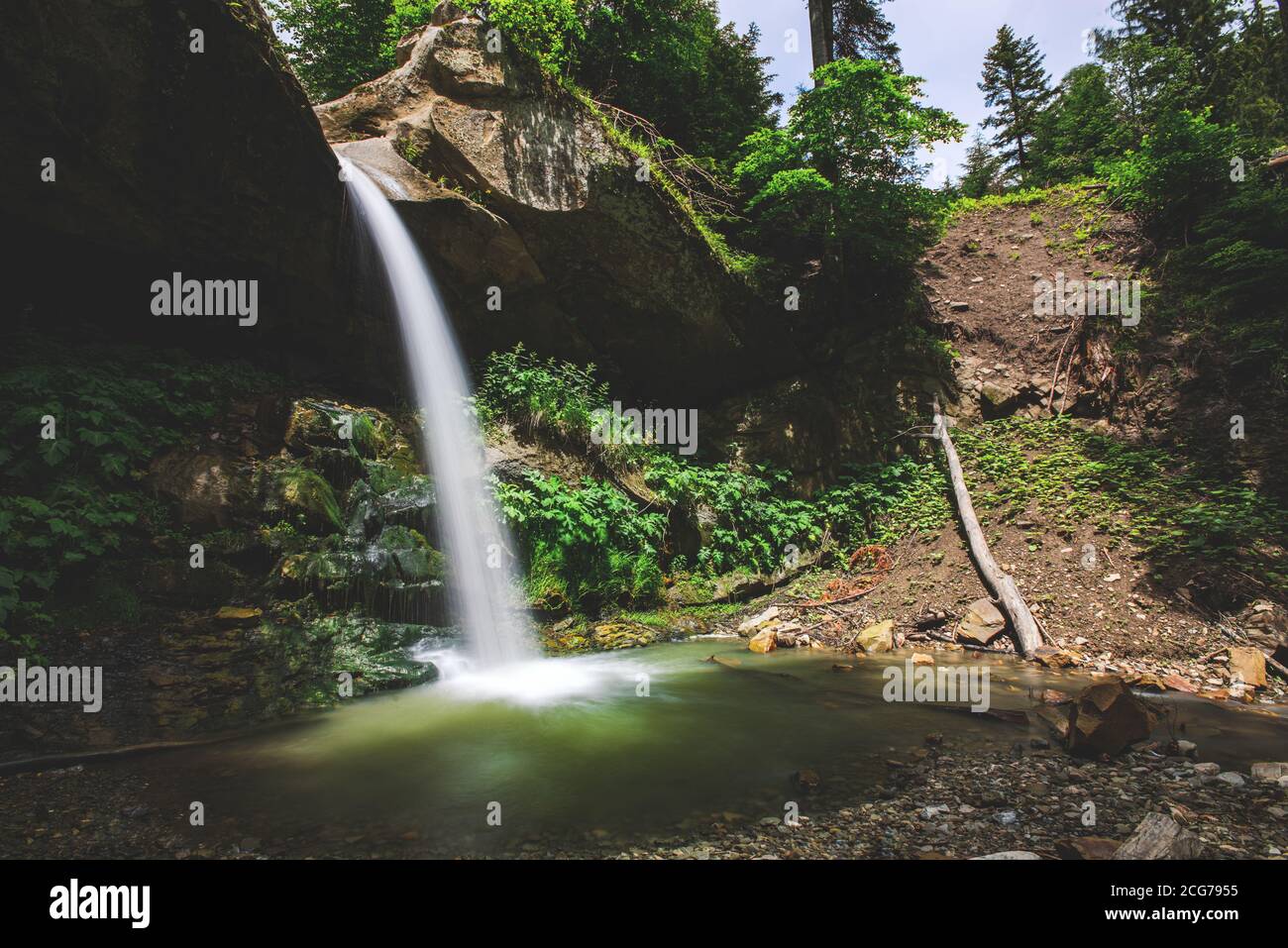 Deep forest river hi-res stock photography and images - Alamy