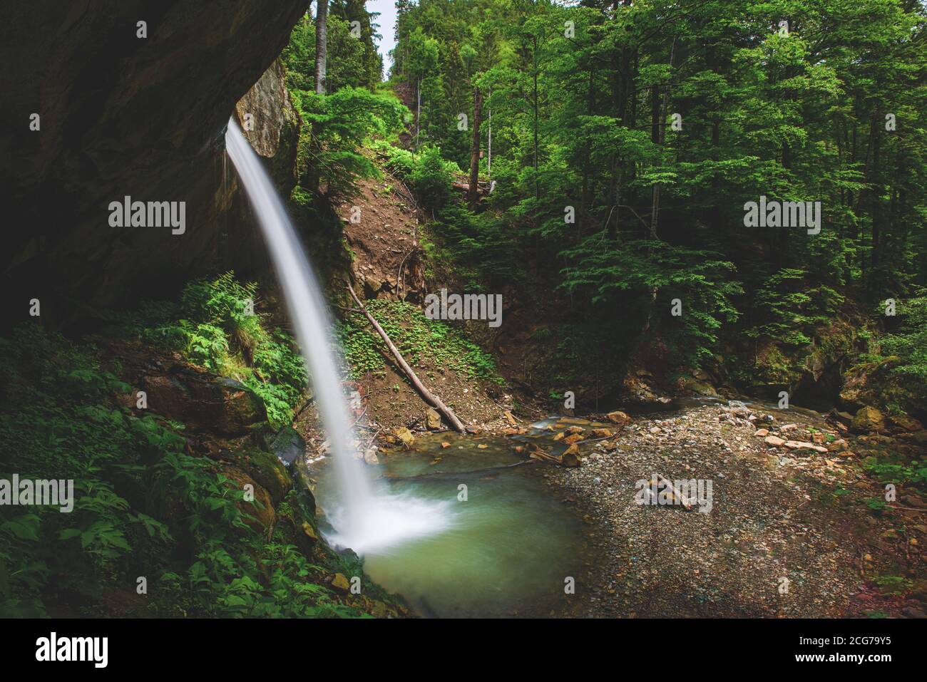 Deep forest river hi-res stock photography and images - Alamy