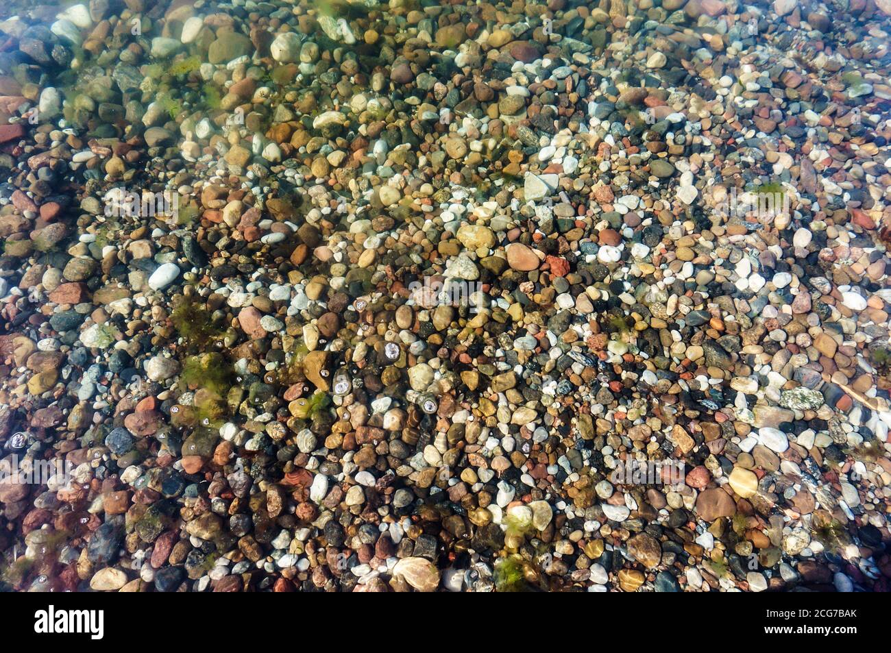 small stones in sea water, sea pebbles under water Stock Photo - Alamy