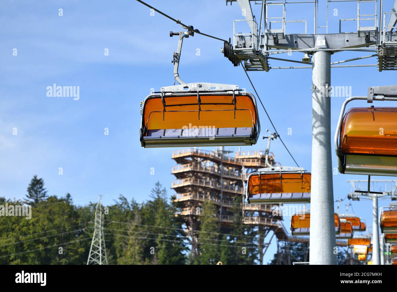 View of the cable car in line with the forest and a wooden attraction ...