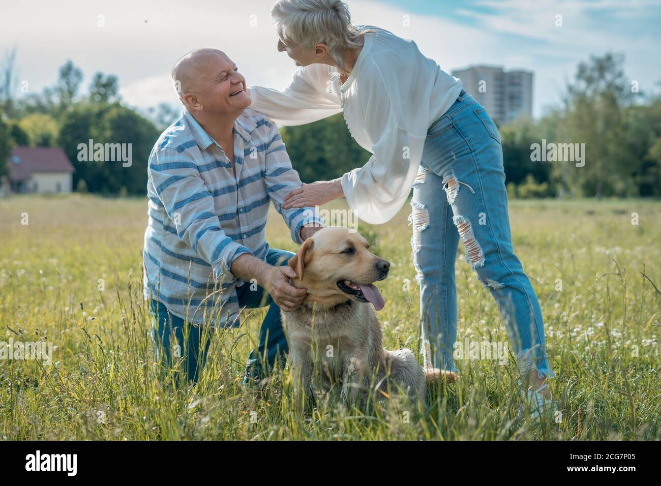 Retired happy retirement dog hi-res stock photography and images - Alamy