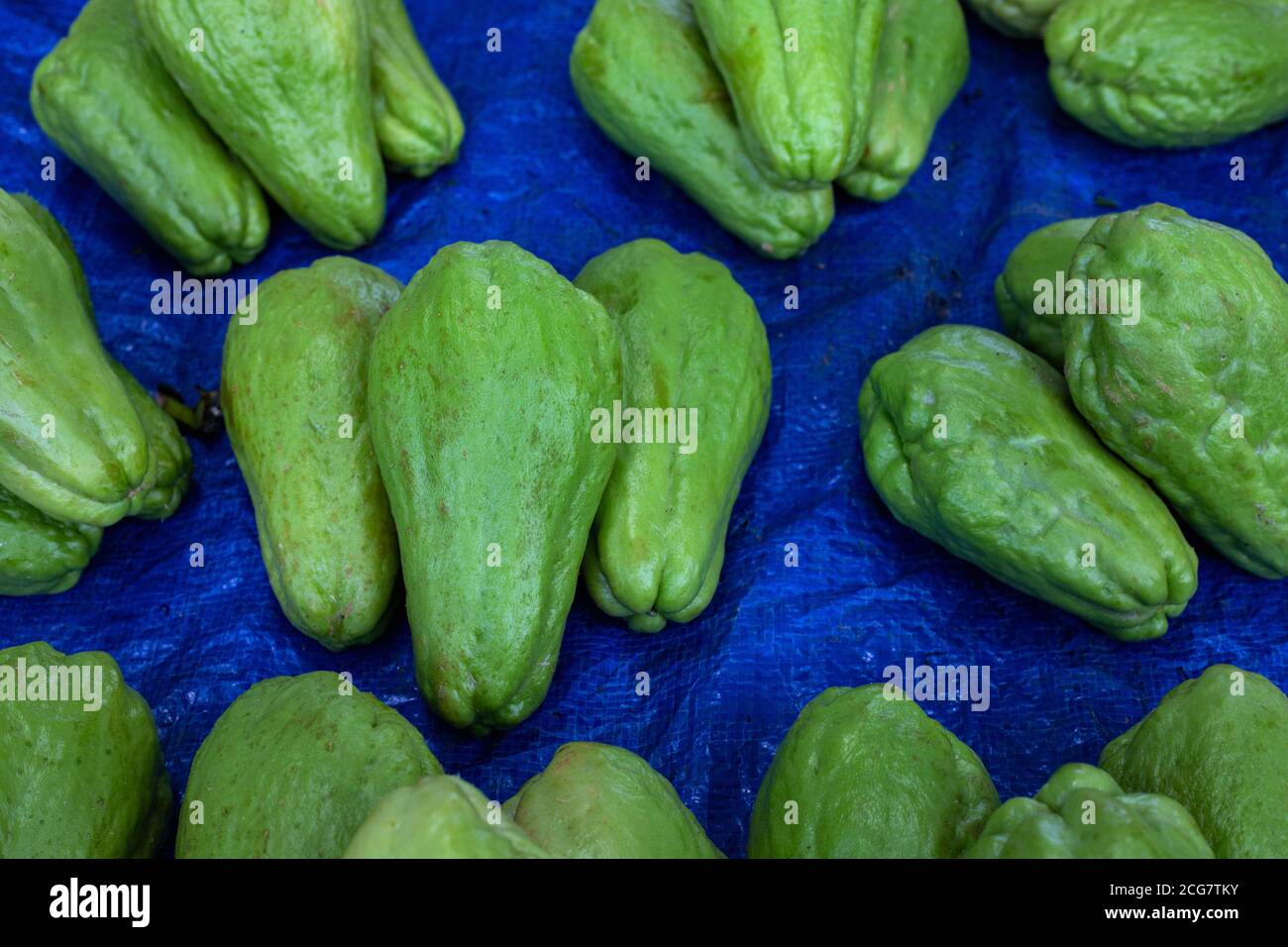Green chayote pile. Ripe vegetable on market. Tropical vegetable for ...