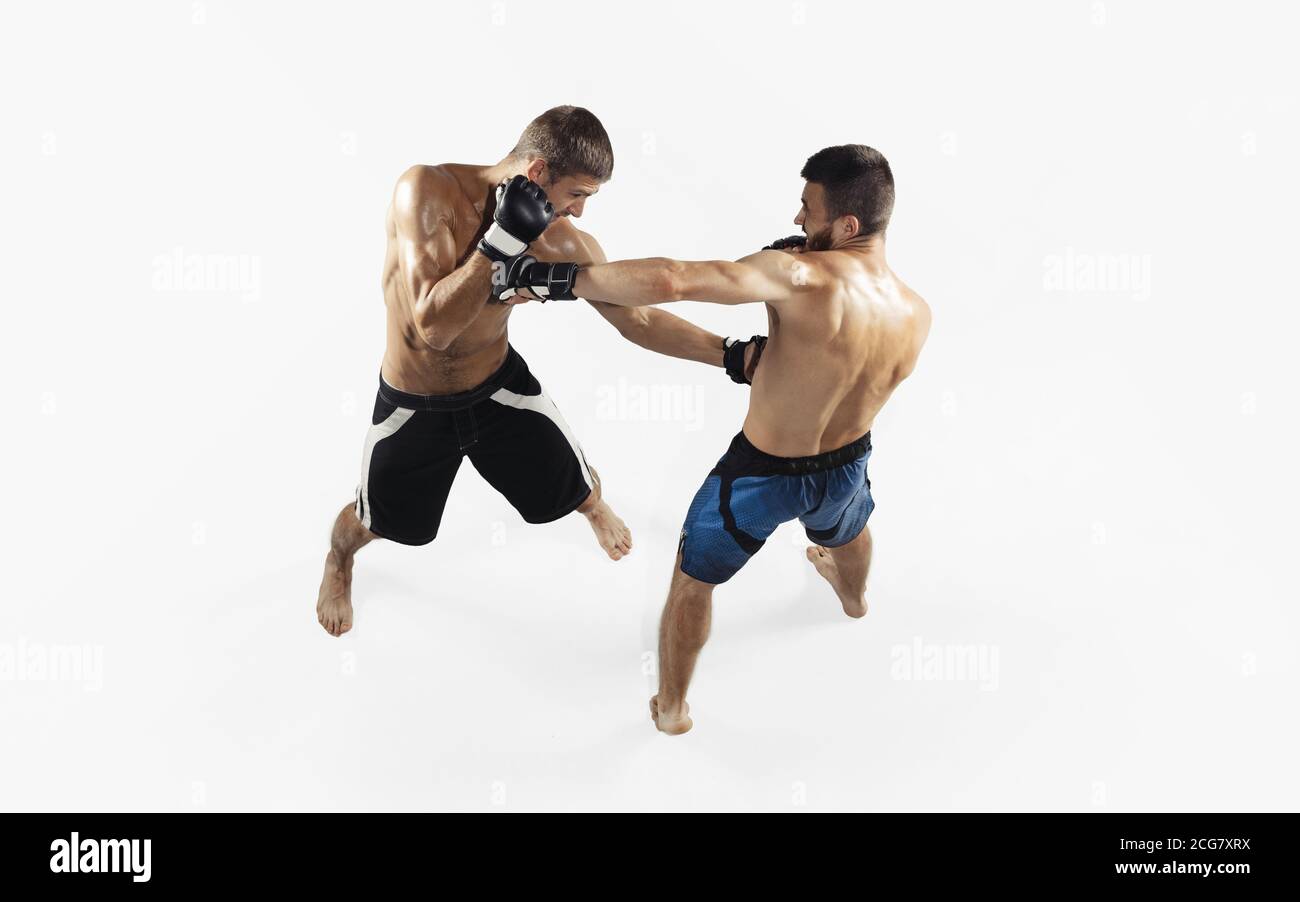 Two professional MMA fighters boxing isolated on white studio ...