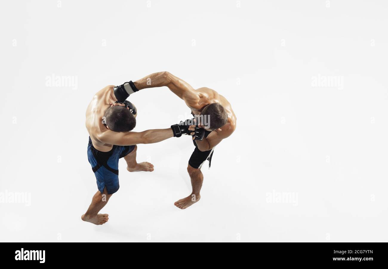 Two professional MMA fighters boxing isolated on white studio ...