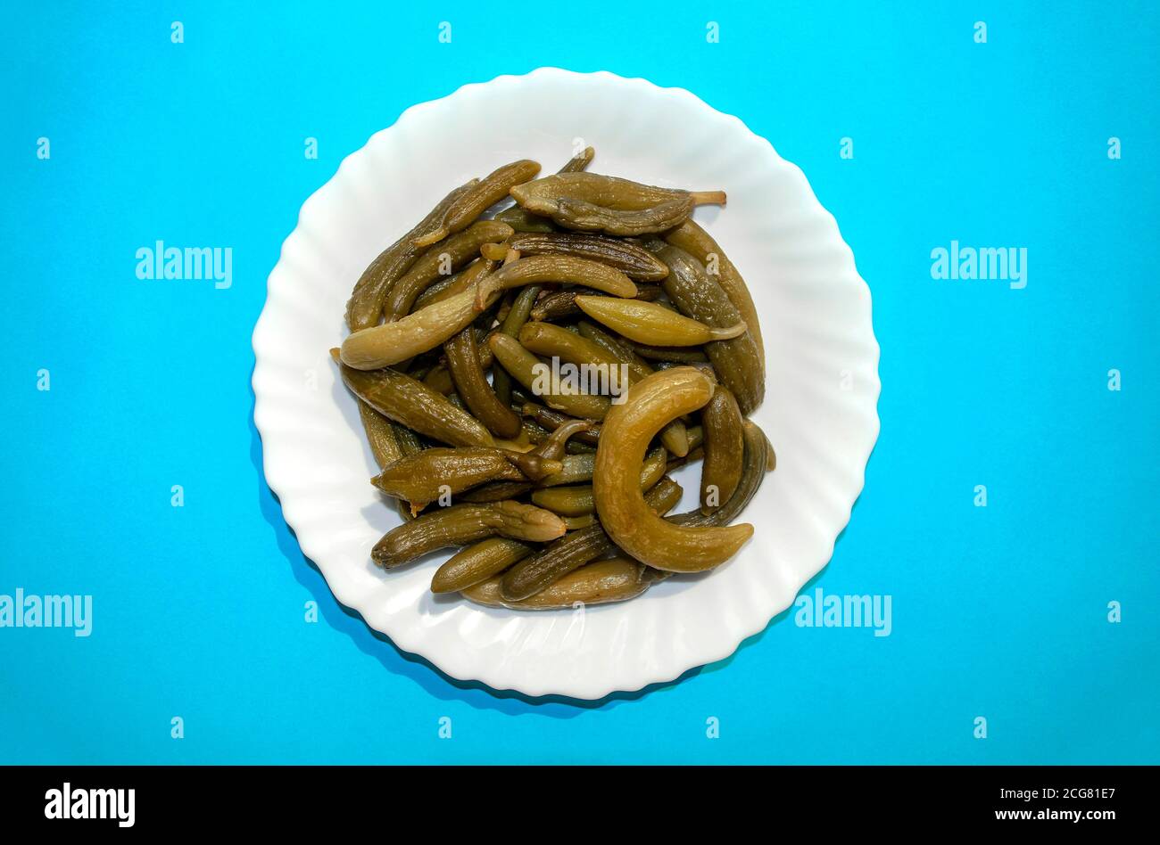 Lebanese pickled cucumbers in a white plate on a blue background. Heap ...
