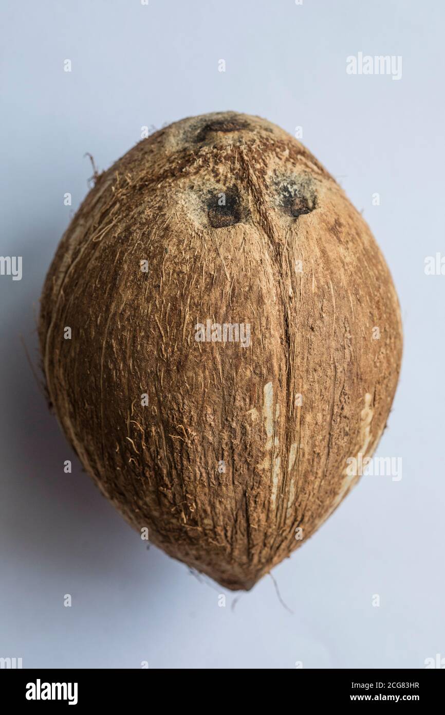 One whole raw coconut isolated on white background Stock Photo - Alamy