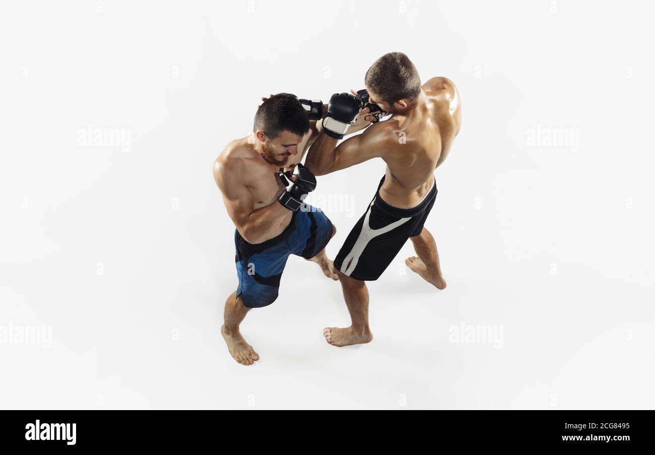 Two professional MMA fighters boxing isolated on white studio ...