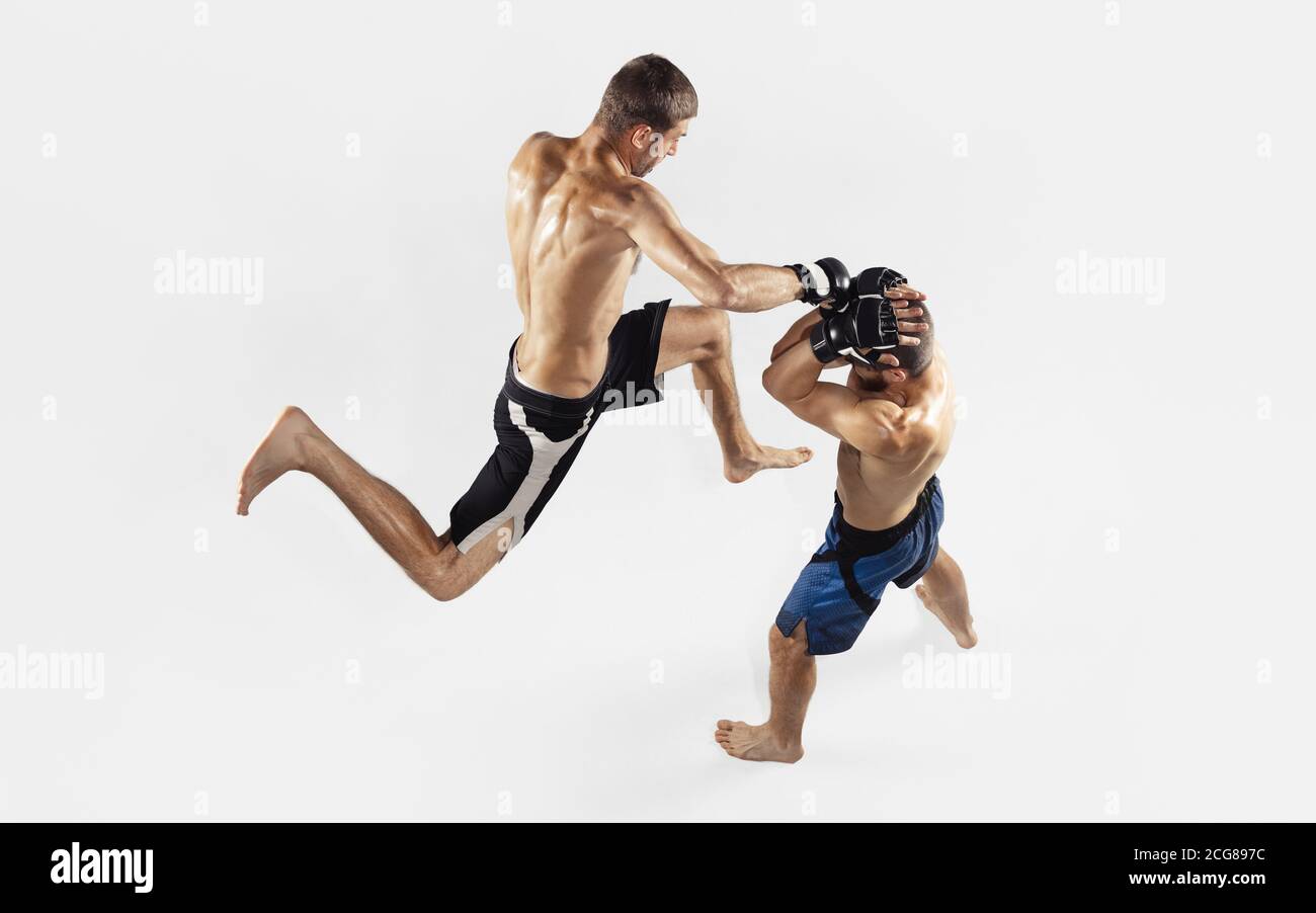 Two professional MMA fighters boxing isolated on white studio ...